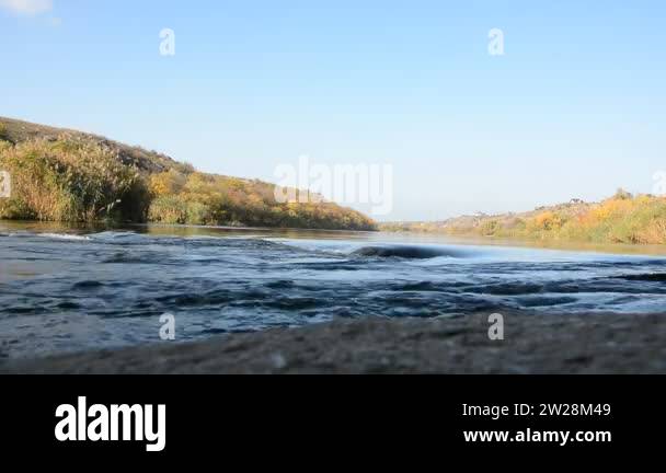 Southern bug Stock Videos & Footage - HD and 4K Video Clips - Alamy