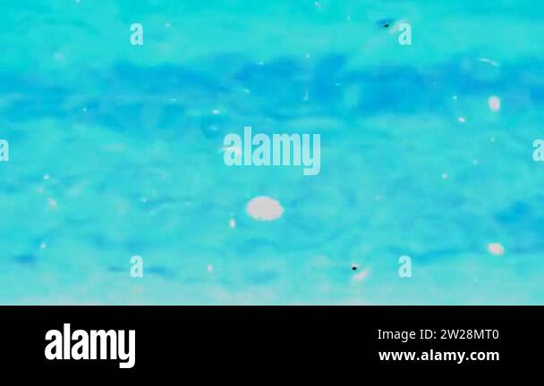 4 K reflection pure water abstract spread mark and transform drinking ...