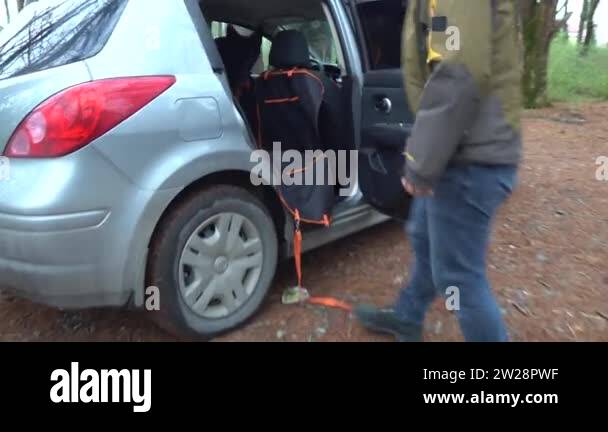 German Shepherd sitting in the car, park in Poti Stock Video Footage ...