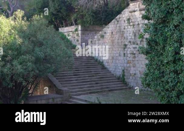 Green loach Stock Videos & Footage - HD and 4K Video Clips - Alamy
