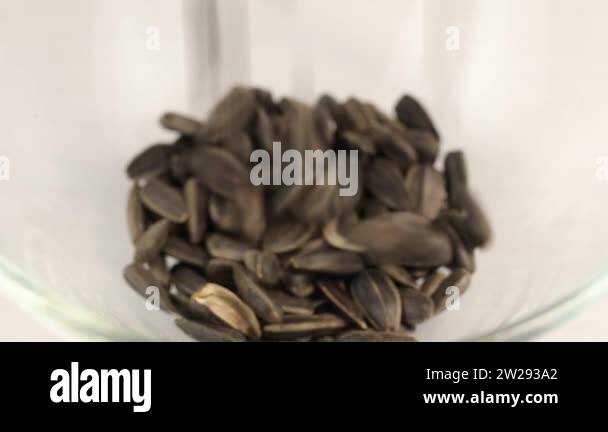 Sunflower seeds fall in transparent Stock Videos & Footage - HD and 4K ...