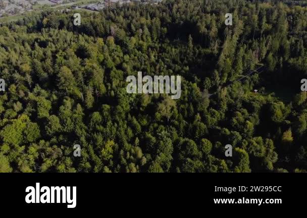 Lothar storm Stock Videos & Footage - HD and 4K Video Clips - Alamy