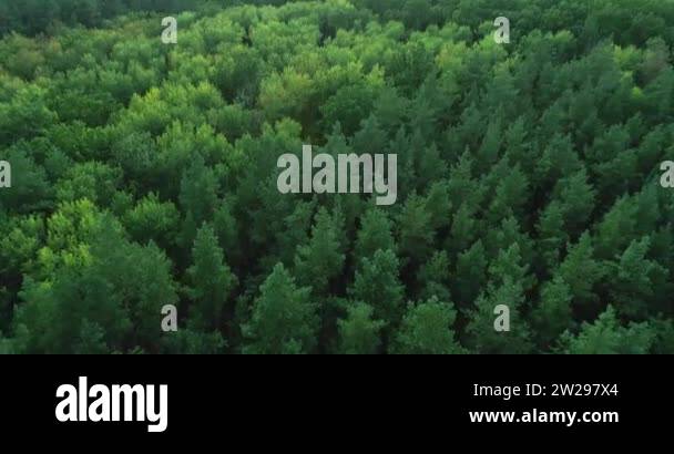 Green forest flyover countryside landscape Stock Videos & Footage - HD ...