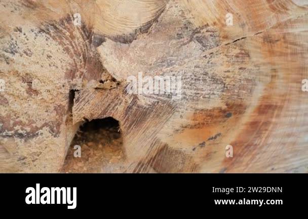 Broken cross Stock Videos & Footage - HD and 4K Video Clips - Alamy