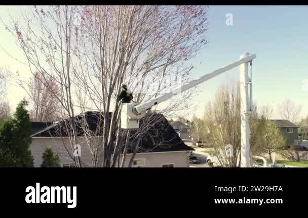 Trimming tree lift arm Stock Videos & Footage - HD and 4K Video Clips ...