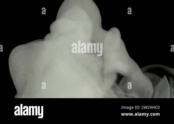 Abstract white steam smoke on a black background.A cloud of chemical ...