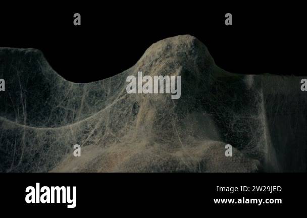 Ancient greek ruler Stock Videos & Footage - HD and 4K Video Clips - Alamy