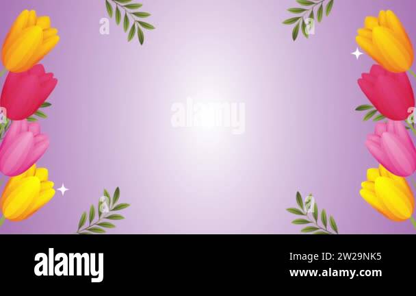 beautifull roses flowers square frame animation Stock Video Footage - Alamy