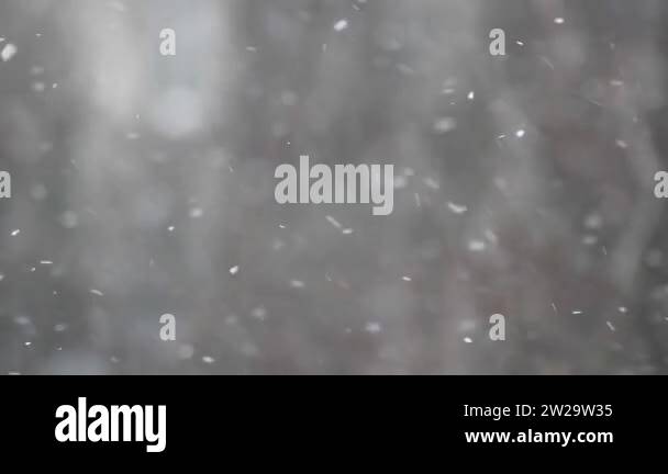 Antarctic falling Stock Videos & Footage - HD and 4K Video Clips - Alamy