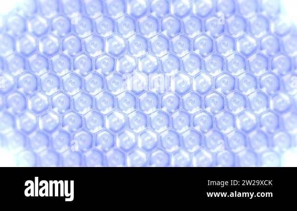 Human skin cells. Each cell with membrane. Cellular therapy. Disease ...