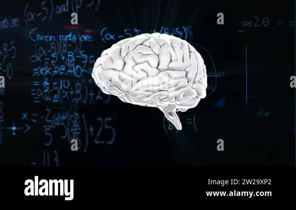 Animation of 3d human brain rotating in seamless loop over scientific ...