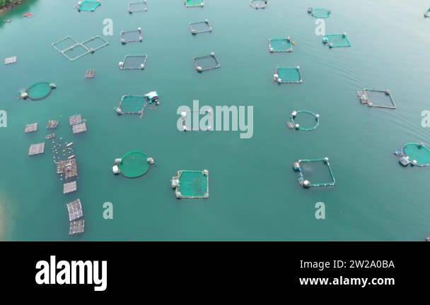 Fish farm with cages for fish and shrimp, top view. Fish cage for ...