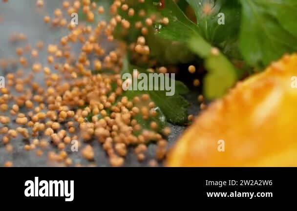 Tiny mustard seed Stock Videos & Footage - HD and 4K Video Clips - Alamy
