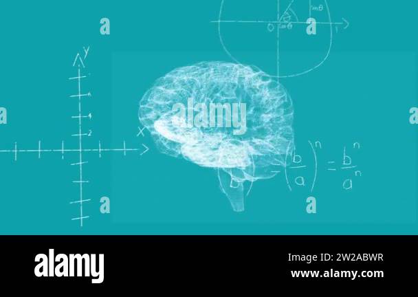 Animation of 3d human brain rotating in seamless loop over scientific ...