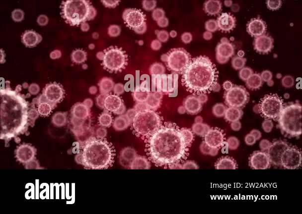 Coronavirus Disease 2019 COVID-19 with red blood cells inside human ...