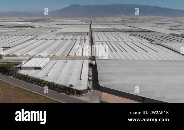 El ejido greenhouses Stock Videos & Footage - HD and 4K Video Clips - Alamy
