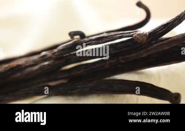 Vanilla seed Stock Videos & Footage - HD and 4K Video Clips - Alamy