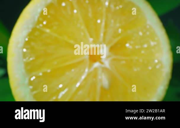 Macro footage of bright and shiny lemon half with flesh and seeds ...