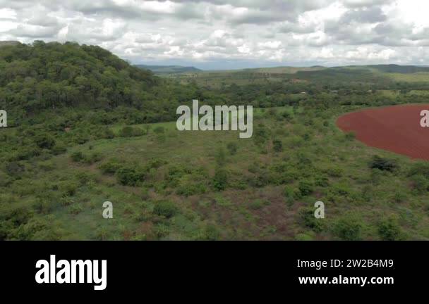Cerrado brazil Stock Videos & Footage - HD and 4K Video Clips - Alamy