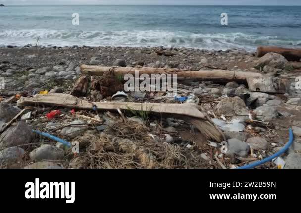 Decaying garbage Stock Videos & Footage - HD and 4K Video Clips - Alamy