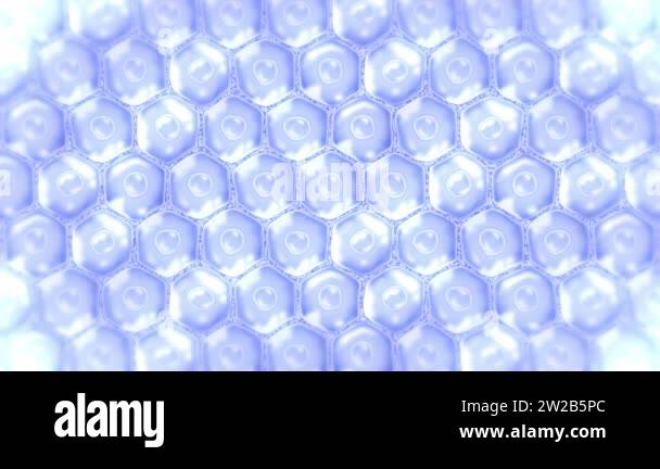 Human skin cells. Each cell with membrane. Cellular therapy. Disease ...