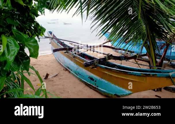 Palm tree wooden boat Stock Videos & Footage - HD and 4K Video Clips ...