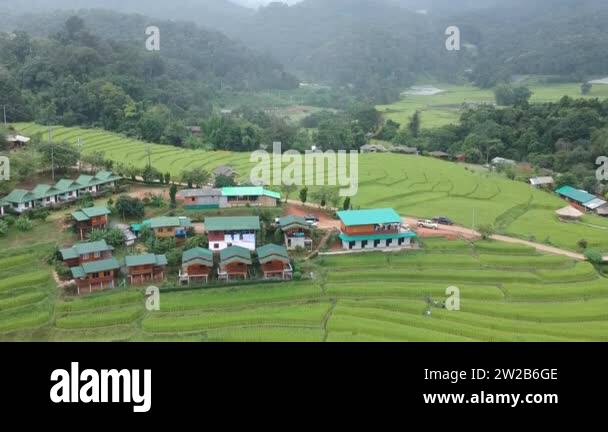 Rice terrace at Doi Inthanon National Park Chom Thong District Chiang ...