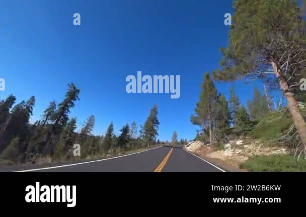 Road inside national park Stock Videos & Footage - HD and 4K Video ...