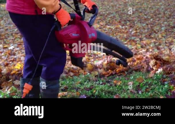 Leaf blowing machine Stock Videos & Footage - HD and 4K Video Clips - Alamy