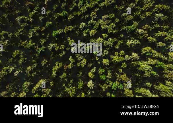 Birds eye view 4k Stock Videos & Footage - HD and 4K Video Clips - Alamy