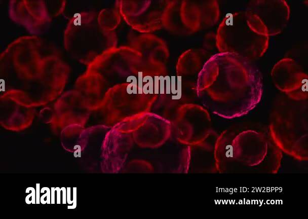 Medical illustration 2d, 3d animation background of cells, bacteria ...