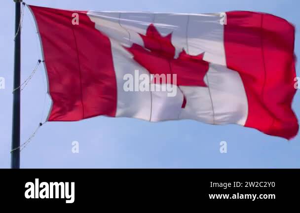 Magnificent national symbol Canada flag red white maple leaf banner ...