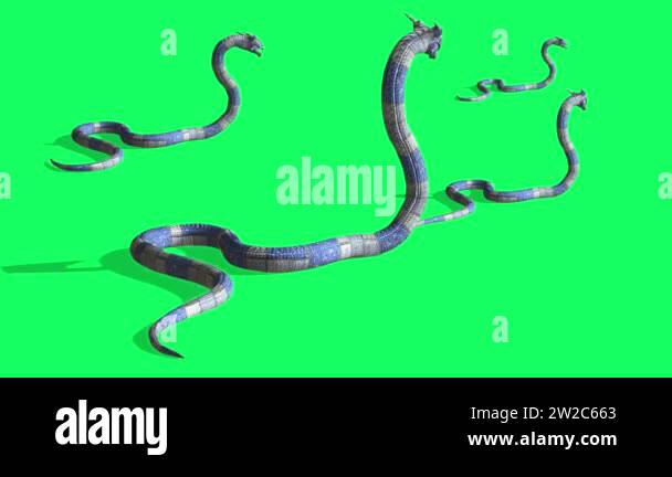 animation of Snake attack - Python Green Screen Stock Video Footage - Alamy