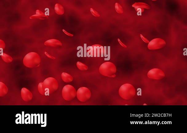 Red blood cells in vein 3D animation. Blood cells in an artery, flow ...
