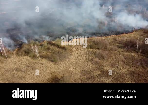 Dry grass burning in the field. Aerial view of smoking wild fire. Large ...