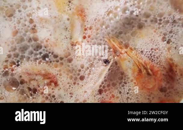Shrimps boiling in hot water in the kitchen.Chef cook cooking prawns ...