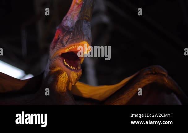 Flying predator Stock Videos & Footage - HD and 4K Video Clips - Alamy