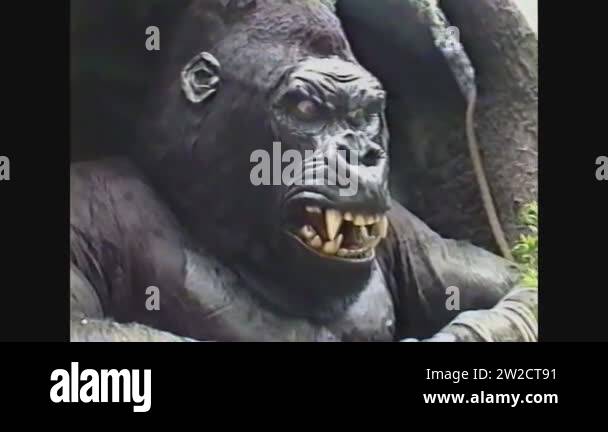 Horror gorilla Stock Videos & Footage - HD and 4K Video Clips - Alamy