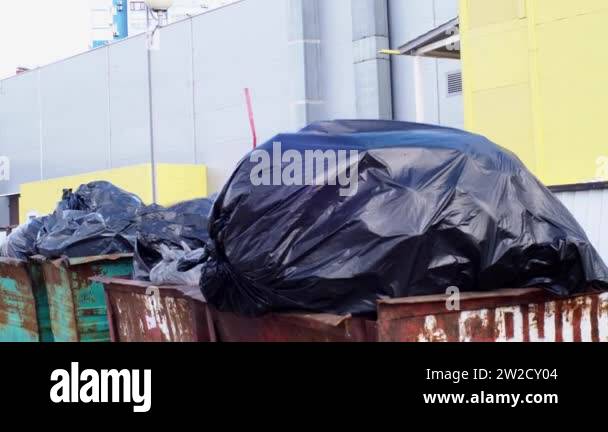 Full garbage containers with large black bags of garbage in wind close ...