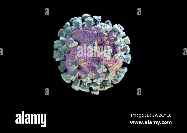 Rotation of a coronavirus cell on a black isolated background ...