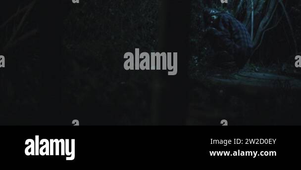 Scary zombie creature woman eating human hand in the woods. Woman ...