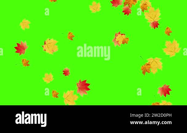 Chroma key falling Stock Videos & Footage - HD and 4K Video Clips - Alamy