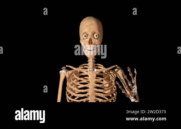 Talking skeleton Stock Videos & Footage - HD and 4K Video Clips - Alamy