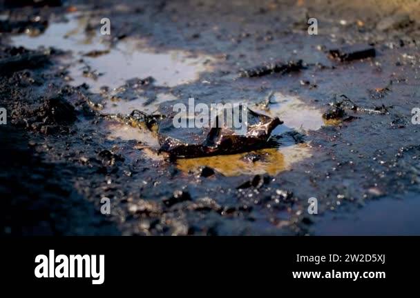 4k dolly video of garbage, waste and black oil covering ground. Concept ...
