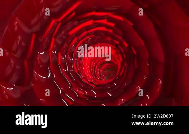 Round colors Stock Videos & Footage - HD and 4K Video Clips - Alamy
