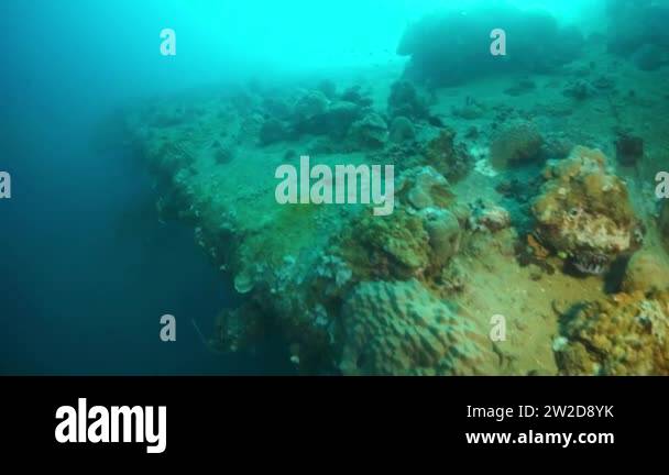 Shipwreck diving in underwater world of Truk Islands Stock Video ...