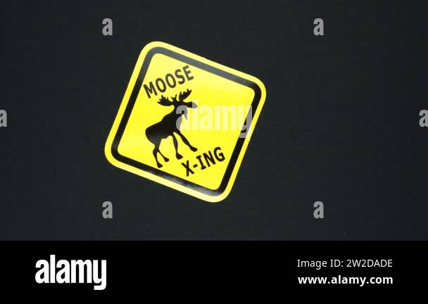 MOOSE, WILD ANIMALS warning sign word text Stock Video Footage - Alamy