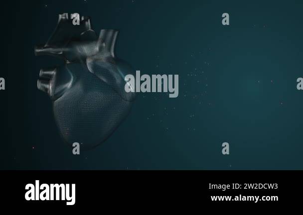 Normal human liver Stock Videos & Footage - HD and 4K Video Clips - Alamy