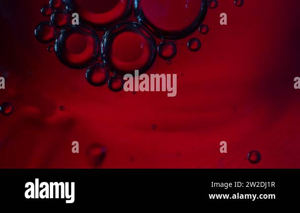 The concept of blood analysis under the microscope, red blood cells ...