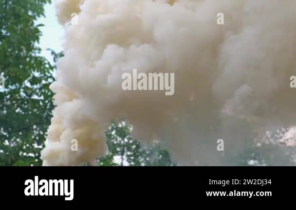 Military smoke bomb in the forest, a lot of dry yellow smoke on the ...
